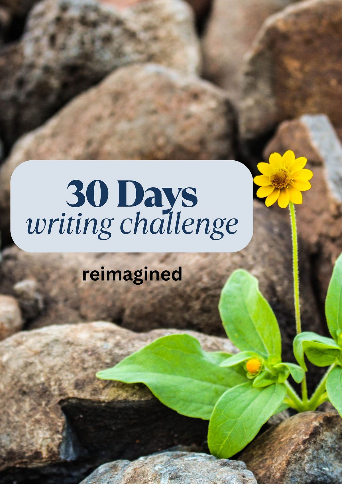 30-Day Writing Challenge: Reimagined | by Abeni Fasina | Jul, 2025 | Medium