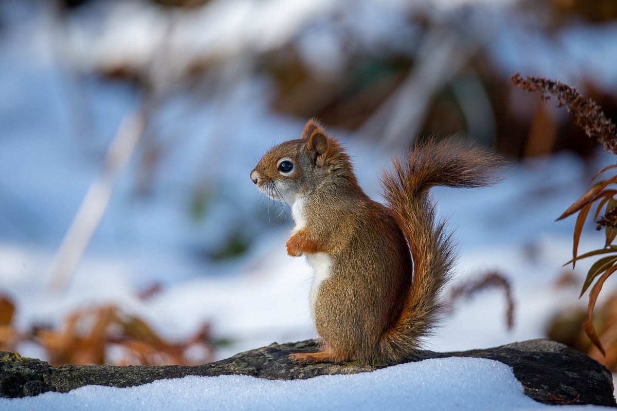 The Quiet of Door County. November is a great time to go | by Lauri ...