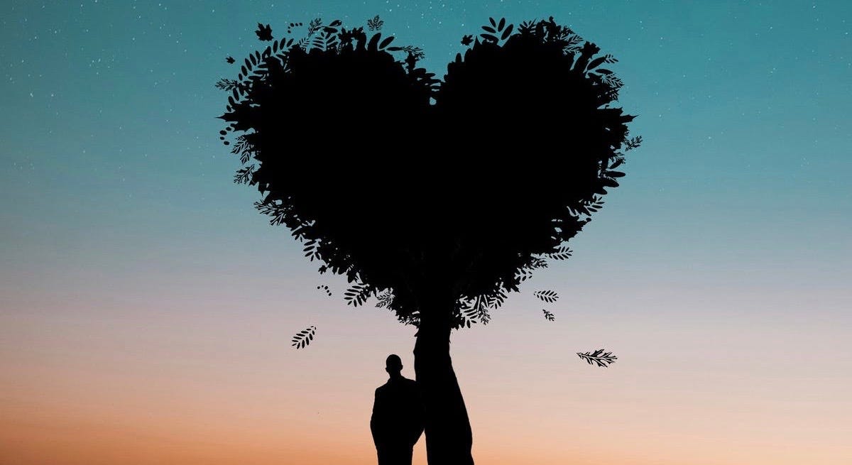 The Thing About Love. When You Are Carrying the Torch for… | by Samuel ...