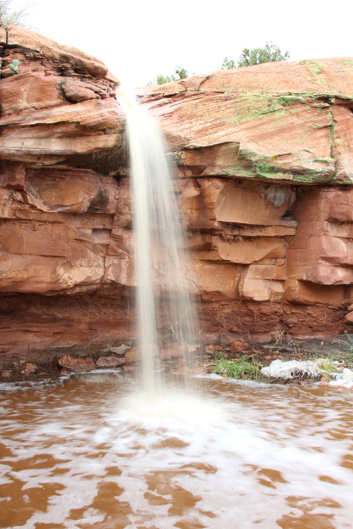 Let Love Flow. “Allow love to flow from your heart… | by Tao Fellowship ...