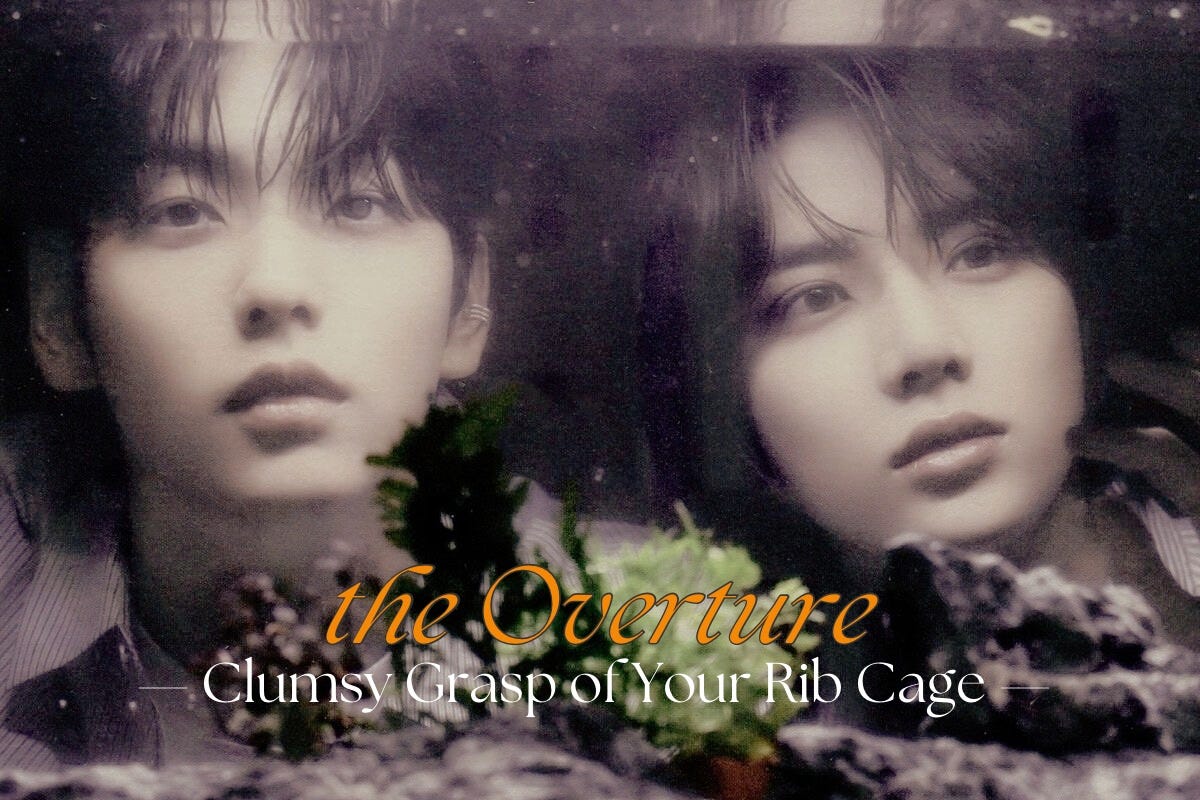 the Overture: To You. Clumsy Grasp of Your Rib Cage; holding… | by Once ...
