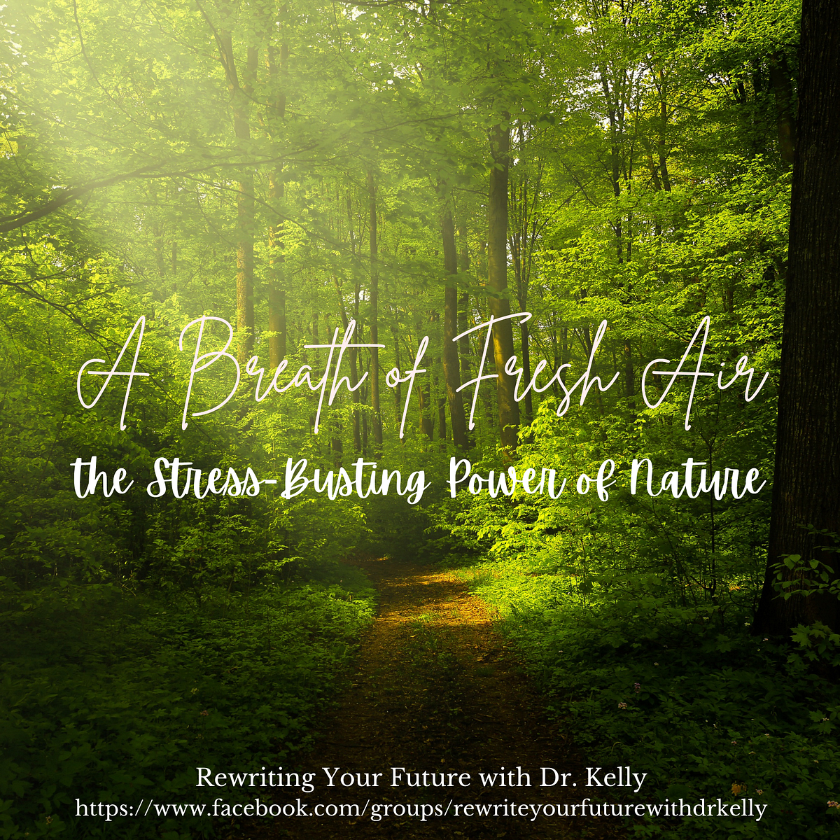 A Breath of Fresh Air: The Stress-Busting Power of Nature | by Cholet K ...