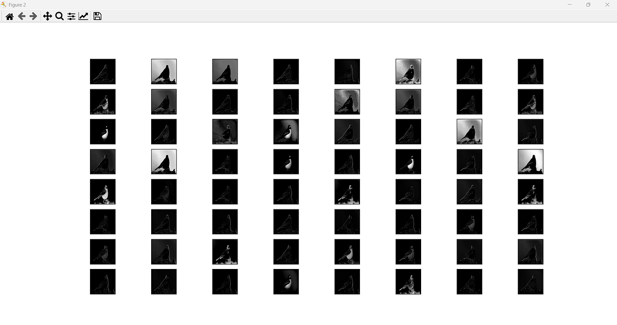 CNN Layers Visualization. During the development you may to see… | by A ...