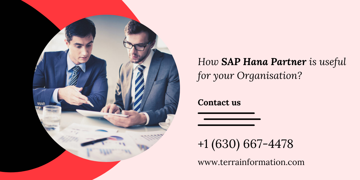 How SAP Hana Partner is useful for your Organisation? | by Dionne ...