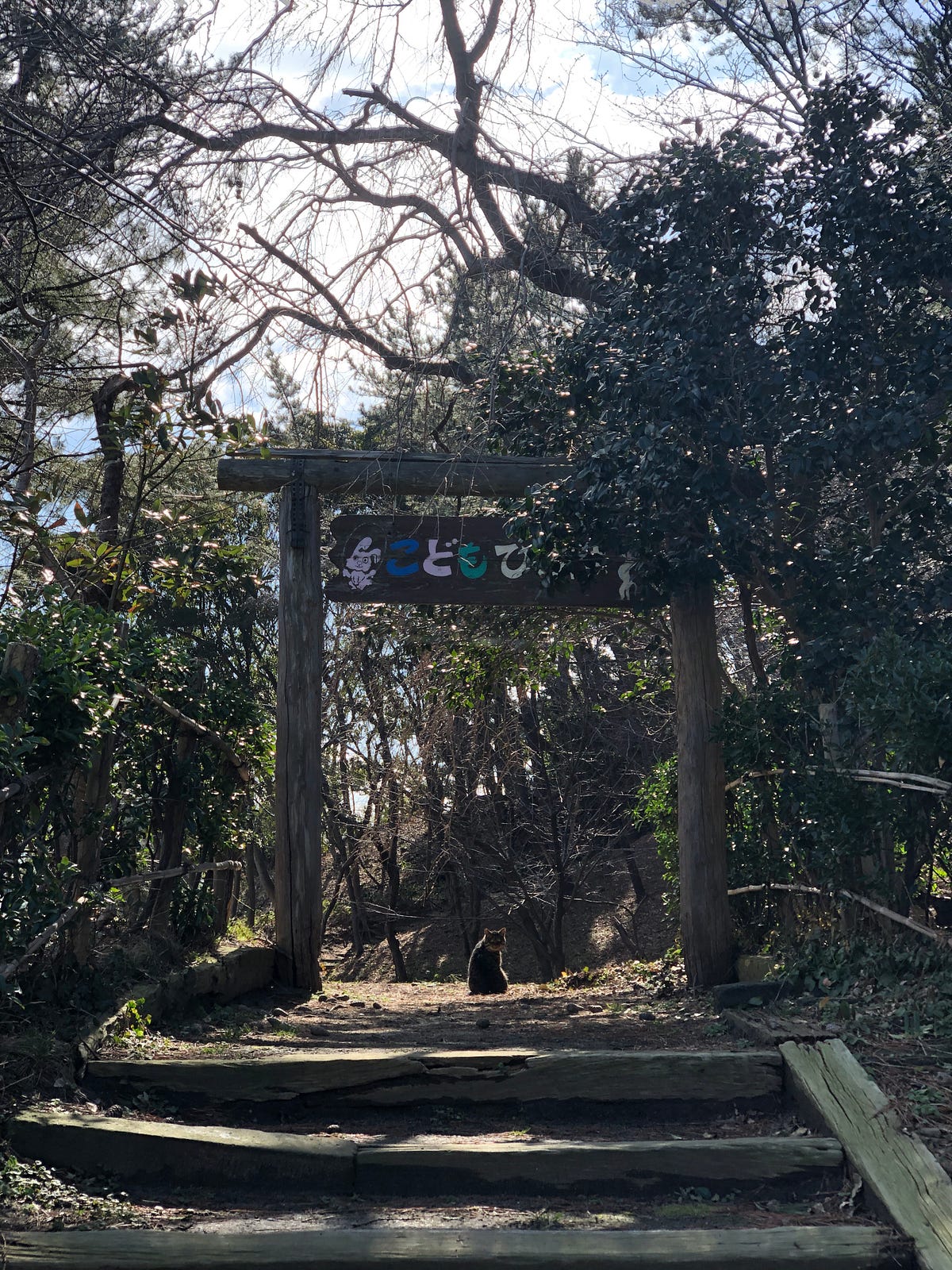 How to Put Sakata City on The Map | by Kiwi Yamabushi | Daily Yamabushi ...