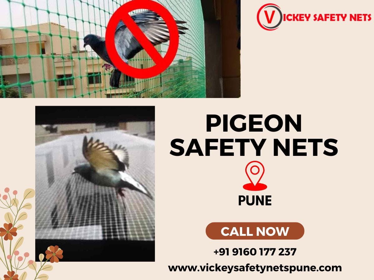 Get Now Pigeon Safety Nets in Pune with Affordable Price | by ...