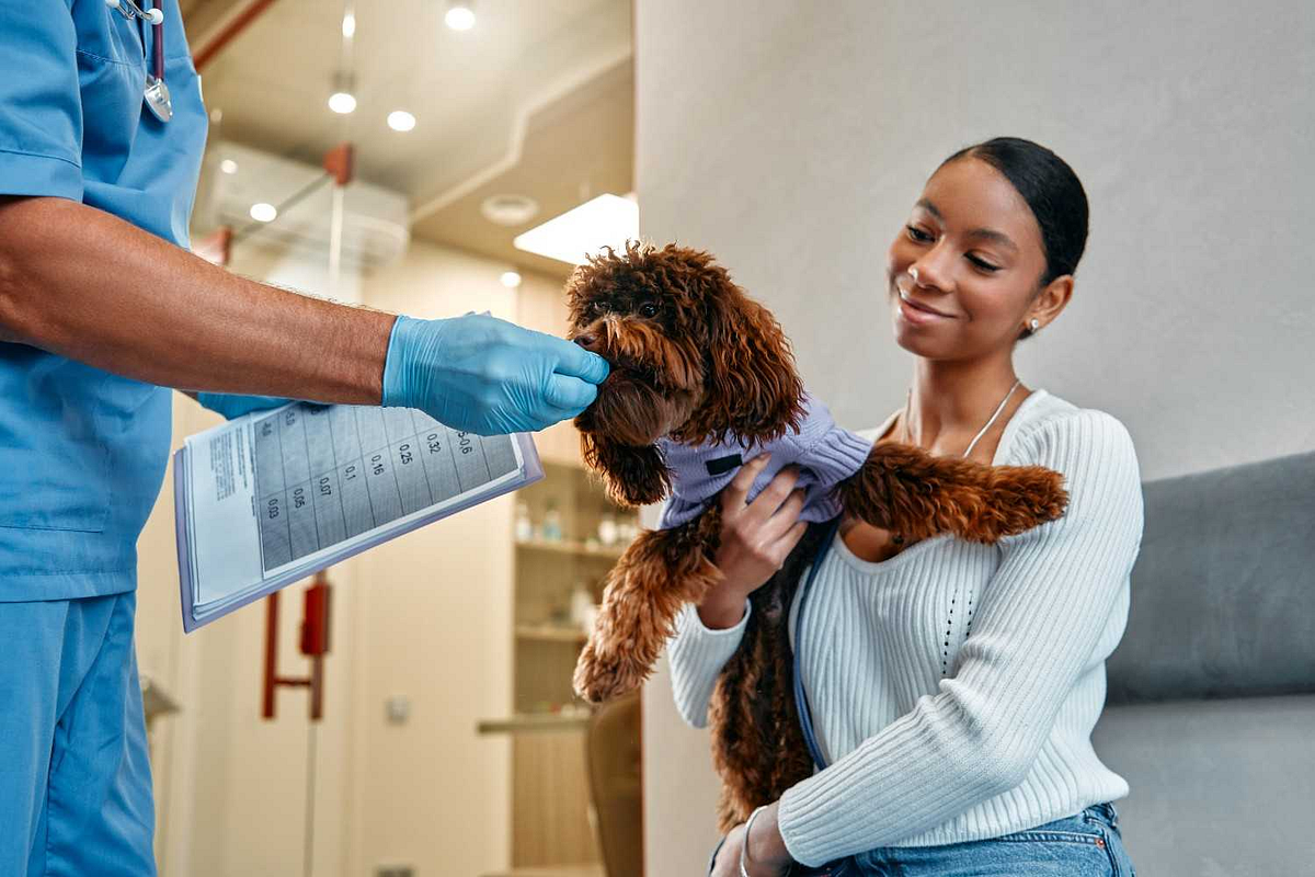 Aiding the Pet Groomers: Where Can You Learn Pet First Aid? - Pawcare ...