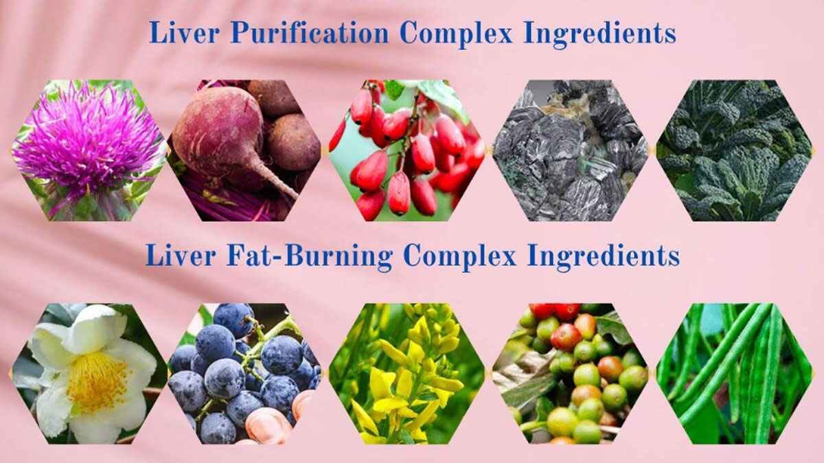 What Are The Natural Ingredients In Liv Pure That Make It Work? | by ...