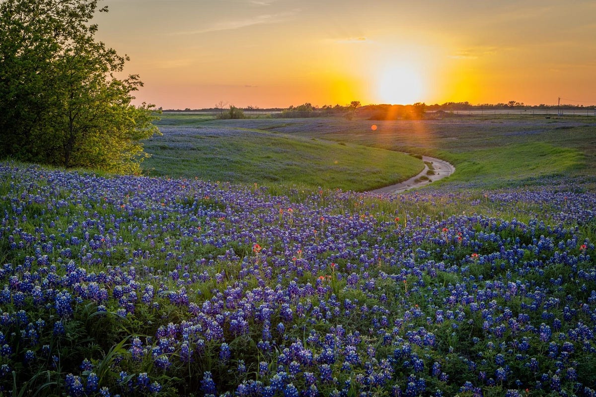 Why I am sick an tire of the Bible verse. Hold your tongue!! | by ...