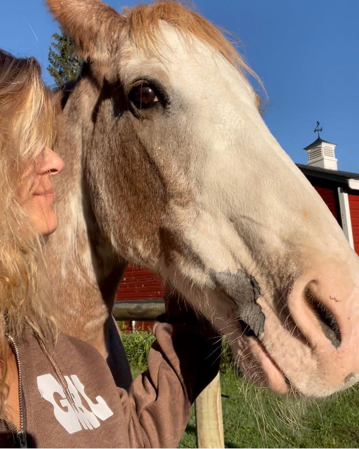 For Pippi Shoshone. A Wild Mustang Mare | by Alice Atalanta, Ph.D. | Medium