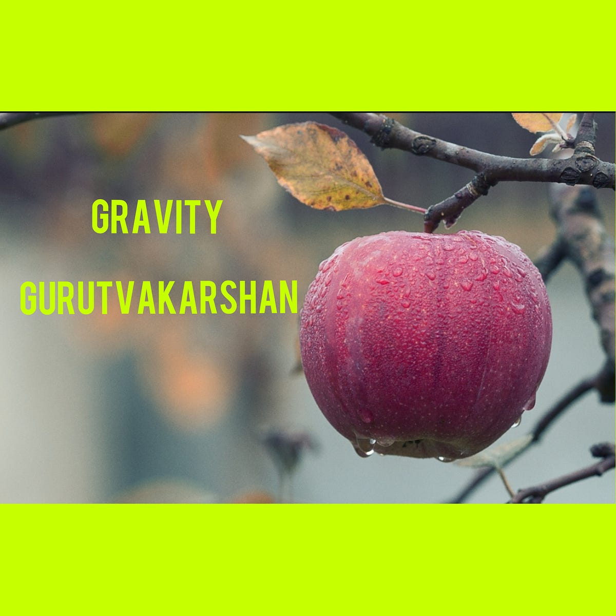 Gravity or Gurutvakarshan. On Guru Poornima (a day dedicated to… | by ...