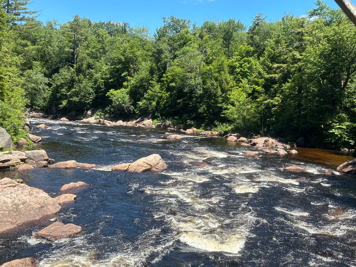 An Awesome and Scenic Bike Ride Along the Moose River in the Southern ...