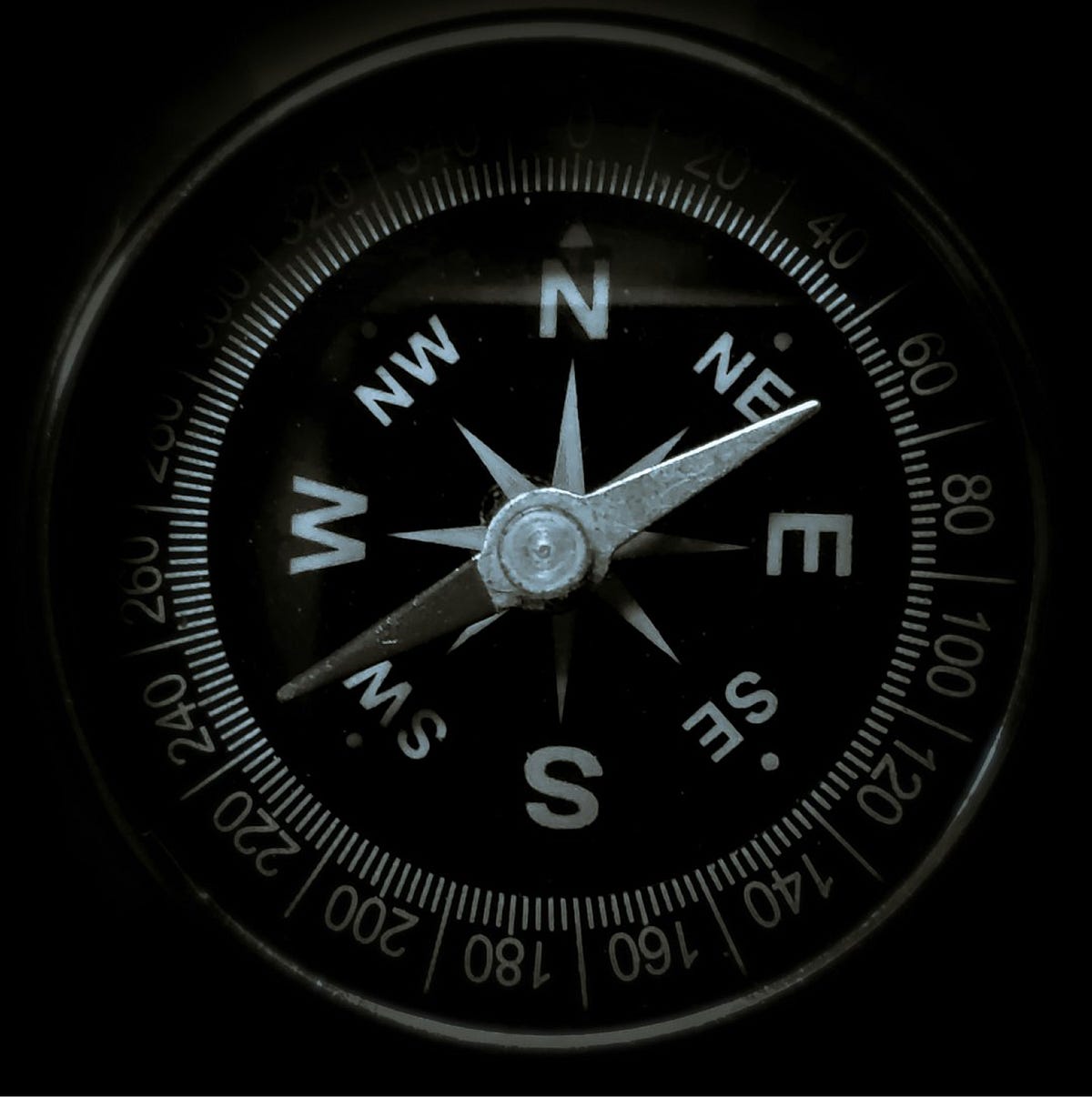 Suffering + Growth = Resilience. Let your heart be your compass | by ...
