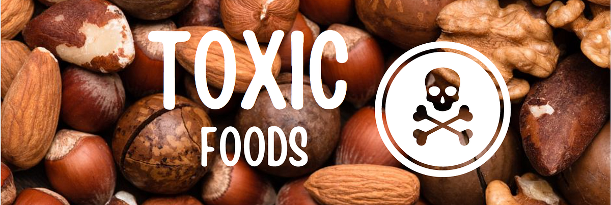 Foods That You Didn’t Know are Dangerous | by Jake Renzo Cui | Medium