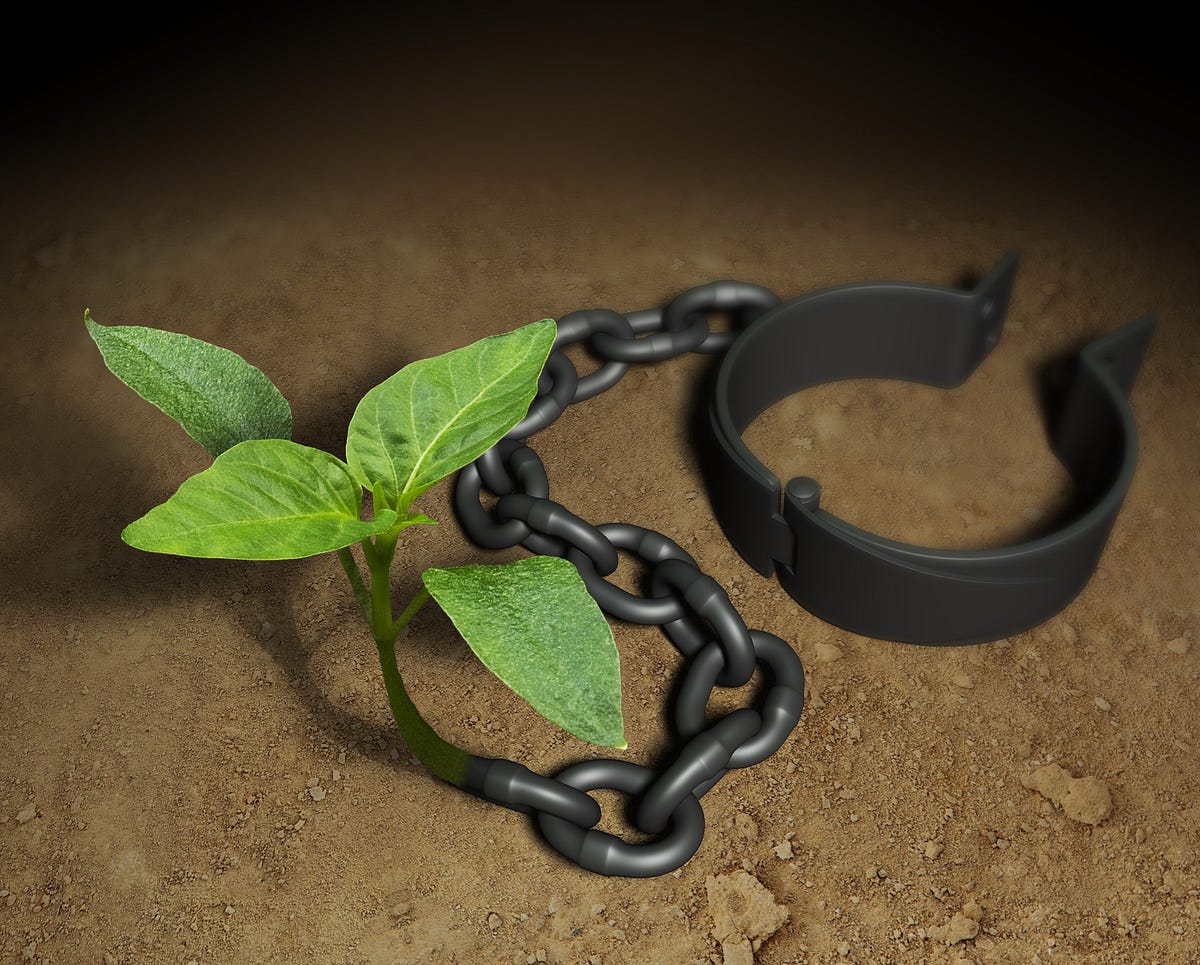 Understanding the Joseph Calling — cont | by Os Hillman | Medium