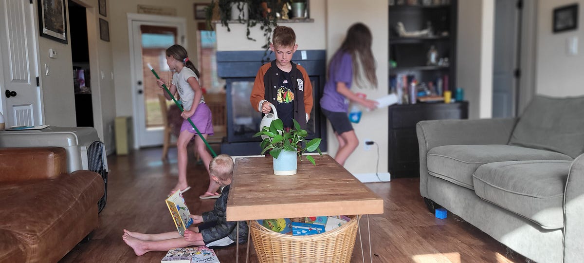 Blitz Cleaning — The Cleaning Method for Those Who Despise Housework ...