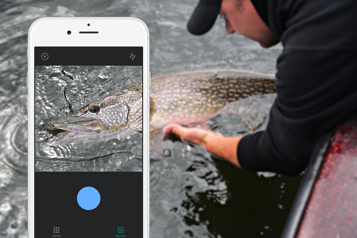 Introducing Fishmore. A new lifestyle app for all things… | by Sam Ubl ...