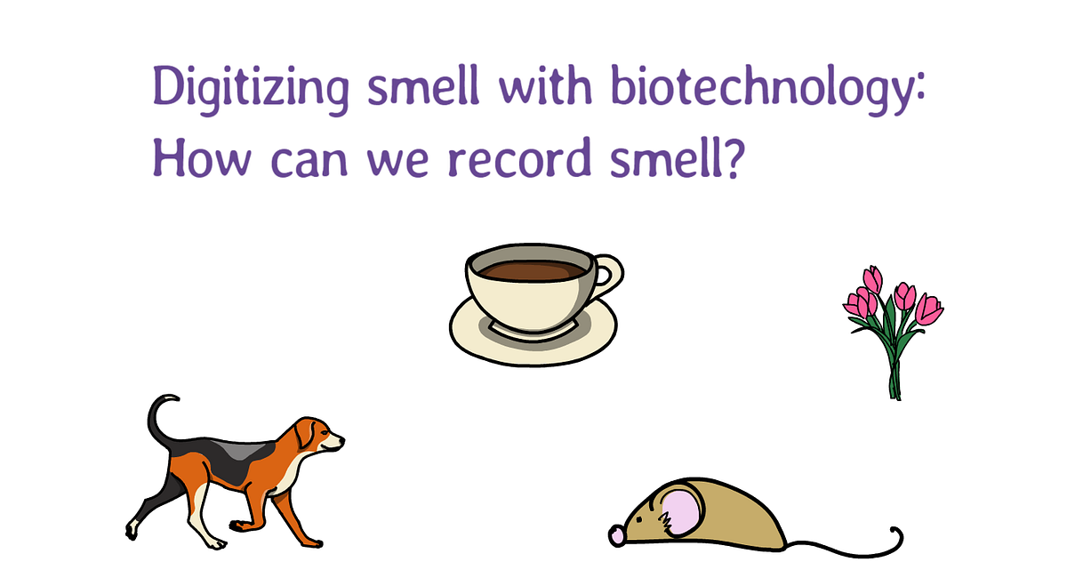 Video: Digitizing smell with biotechnology | by Marianna Limas | Medium
