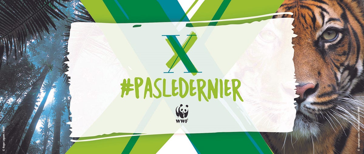 Sport Heroes et le WWF France s’associent pour sensibiliser les ...