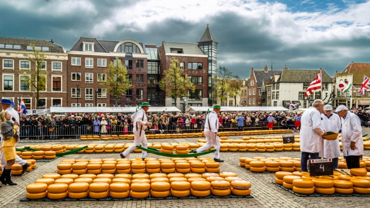 3 Traditional Cheese Markets in the Neteherlands — A Journey Through ...