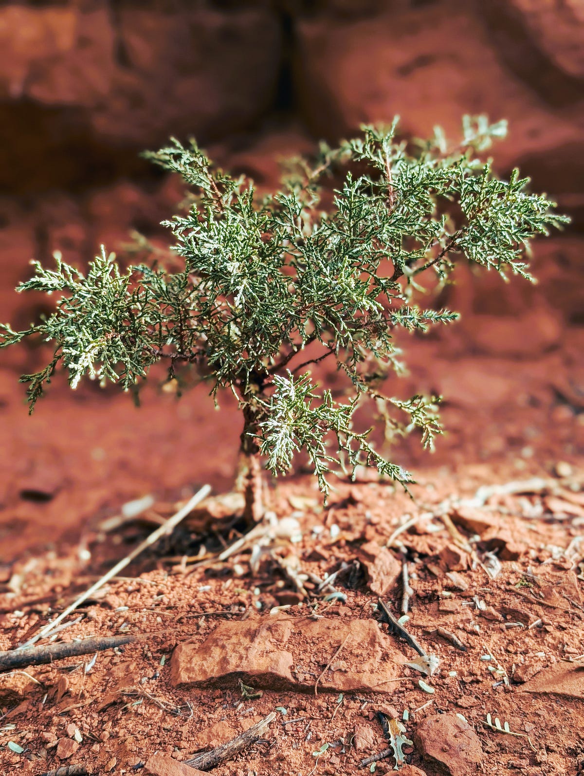 Nature, be damned.. The first thing you notice is the… | by Audrey ...