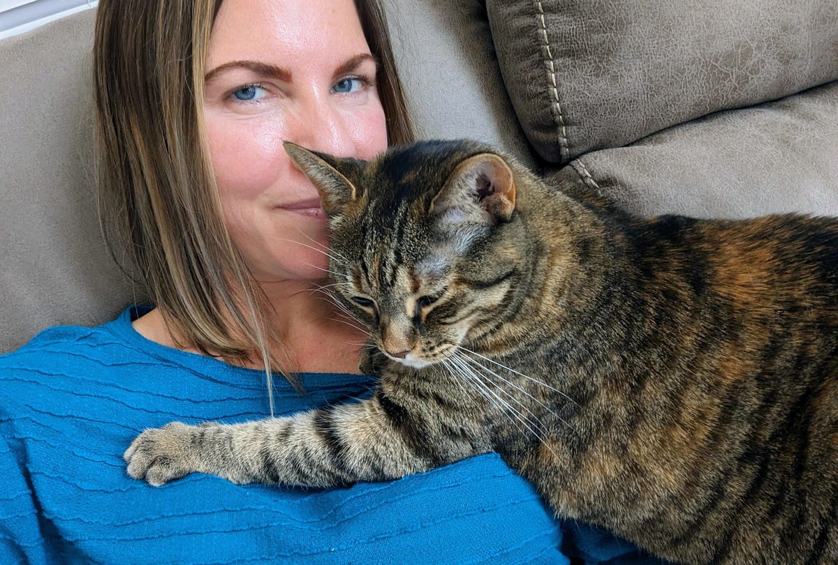 I Have 6 Cats — Here’s How That Happened | by Amanda M. (LIZ EMERALD ...