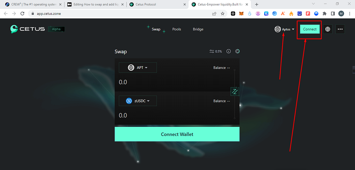 How to swap and add liquadity on cetus protocol | by Mehedi Hasan | Medium