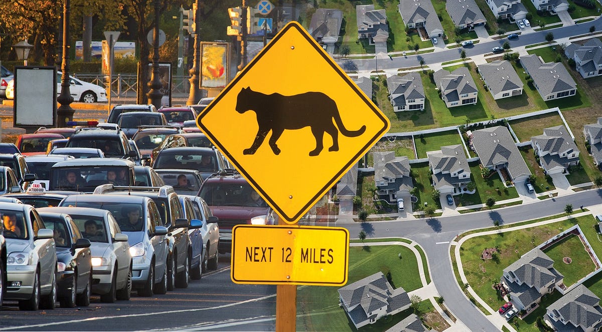 Developer wants us to pay for two new sprawling villages in primary ...