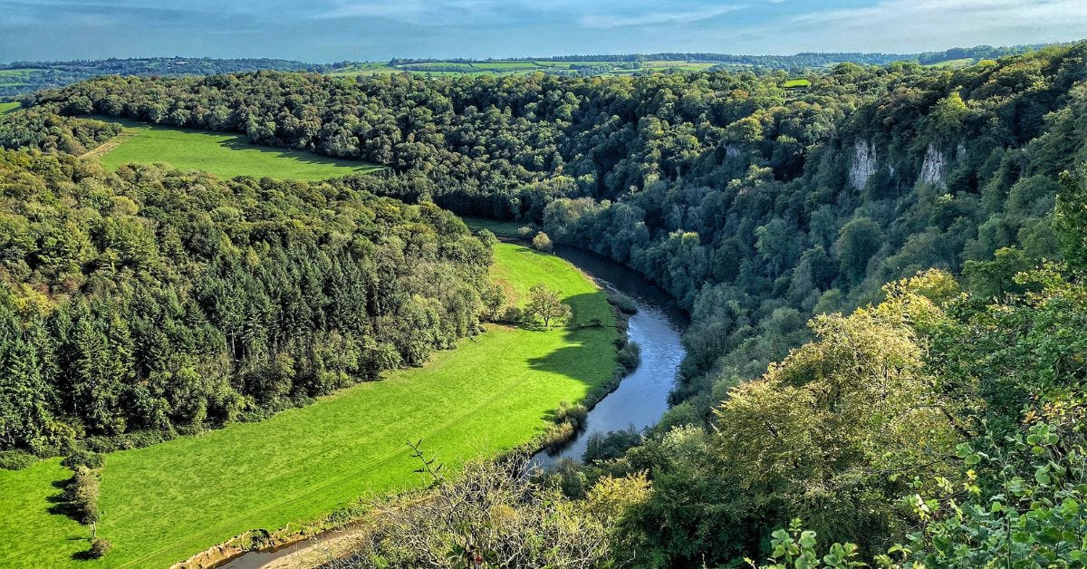 A Walk Through Time and Nature: The Symonds Yat Rock Experience | by ...