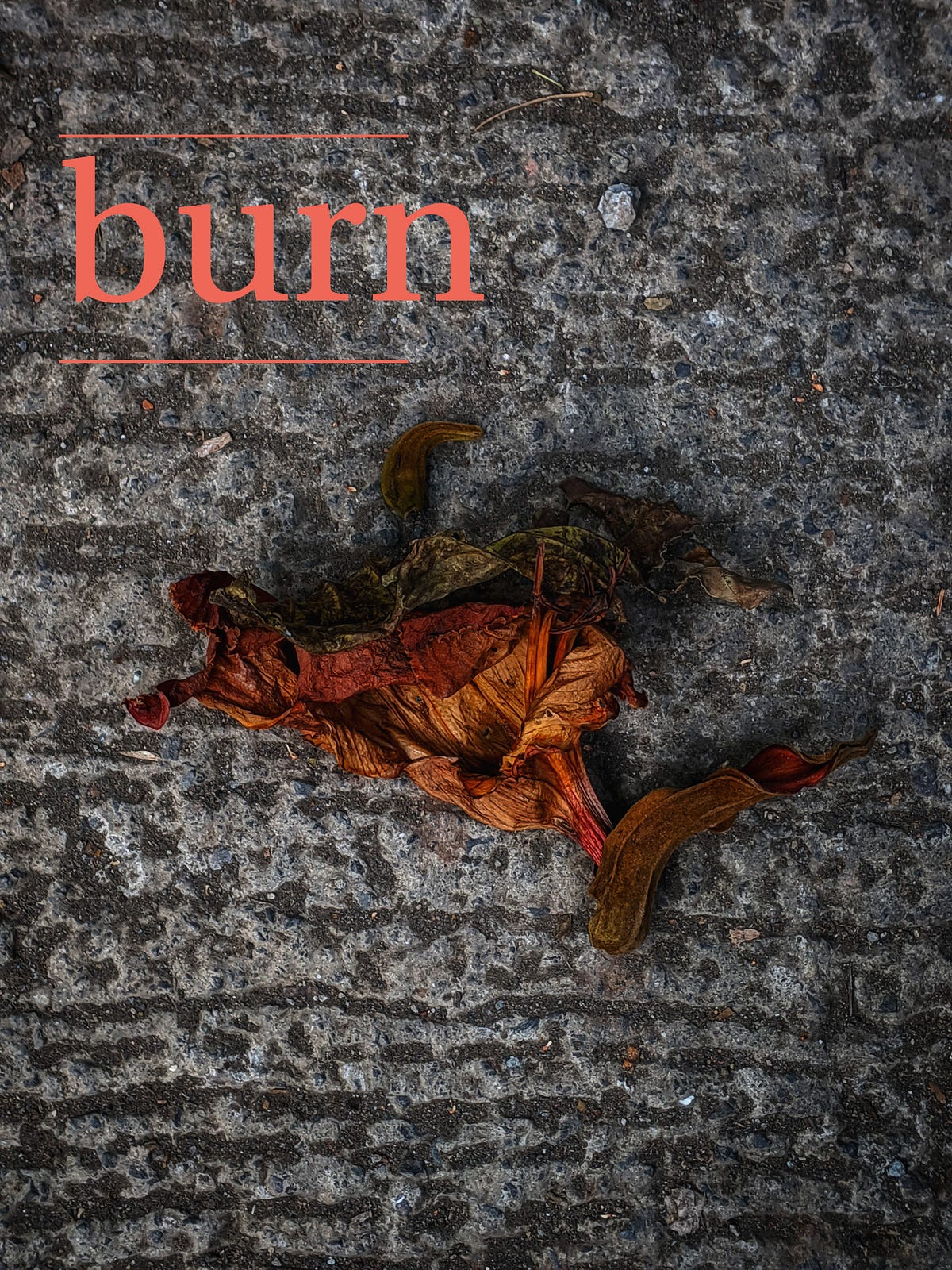 burn - An Idea (by Ingenious Piece) - Medium