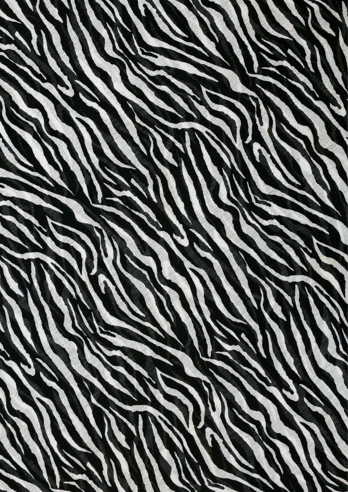 Wearing Zebra Print Makes You Look Thin and Tall? | by Kuhu Jakhmola ...