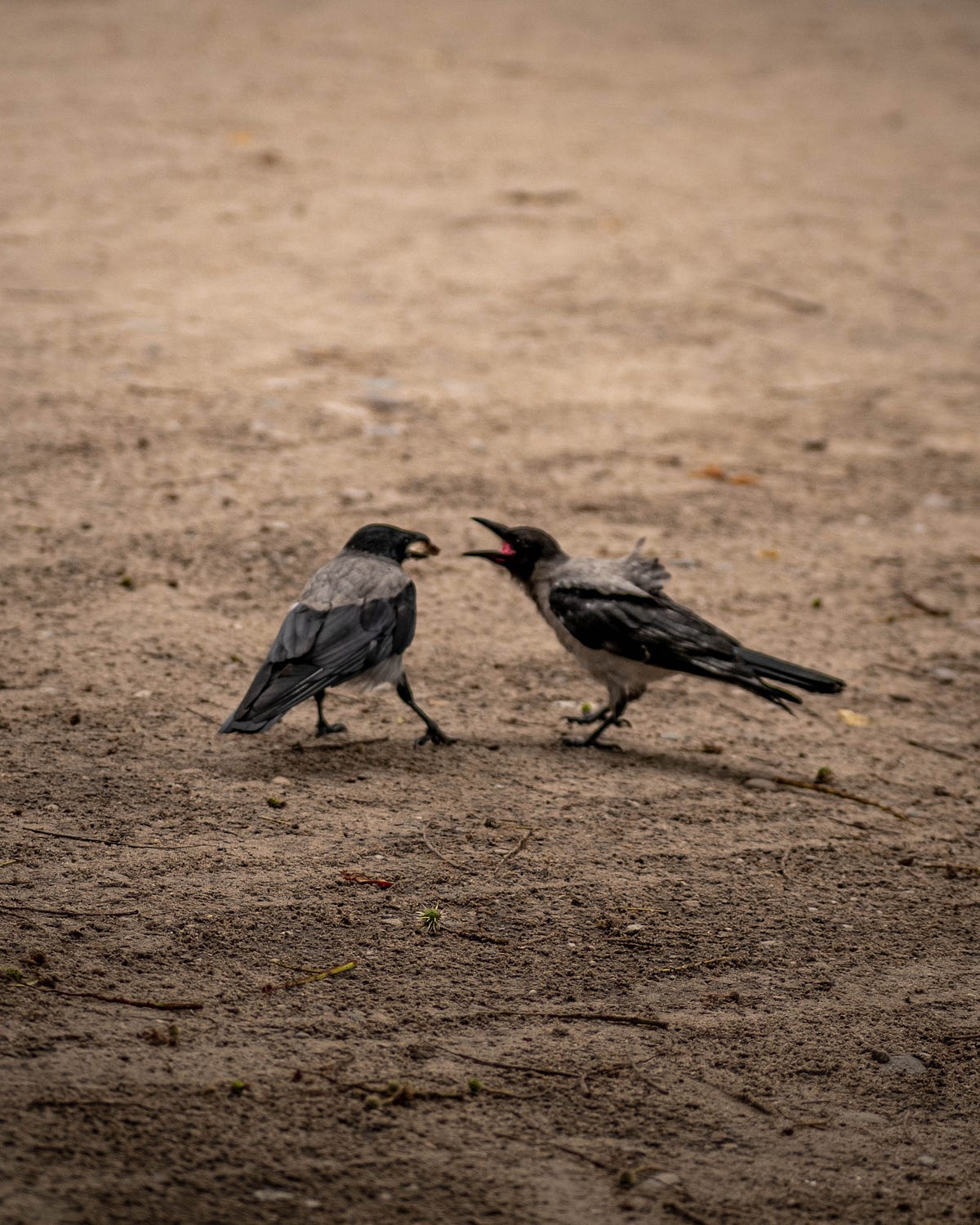 “Kids These Days” and Other Inanities | by Ed Chunski | ILLUMINATION ...