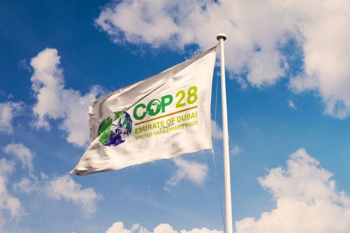 COP28 News Roundup: A Month in Review, July 2023 | by Carolyn Neugarten ...