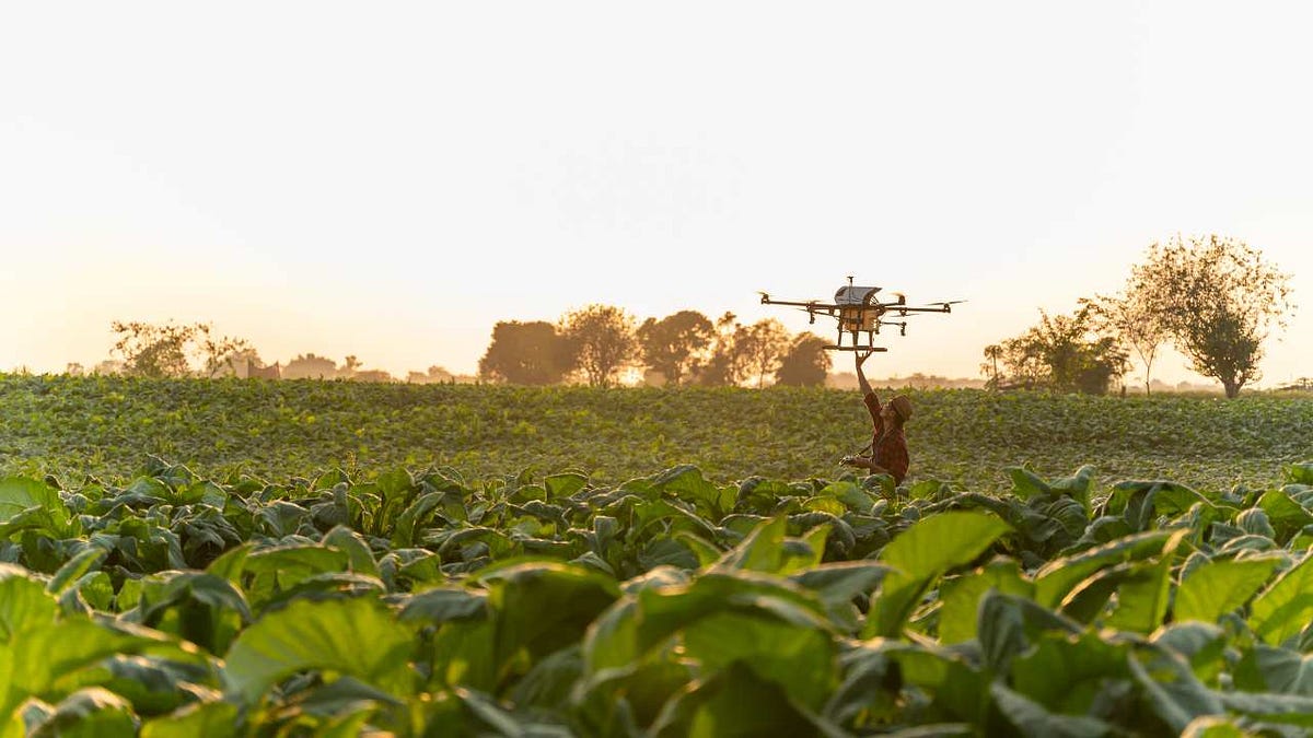 REVOLUTIONIZING INDIAN AGRICULTURE: KRISHIVIMAN’S PIONEERING DRONE ...
