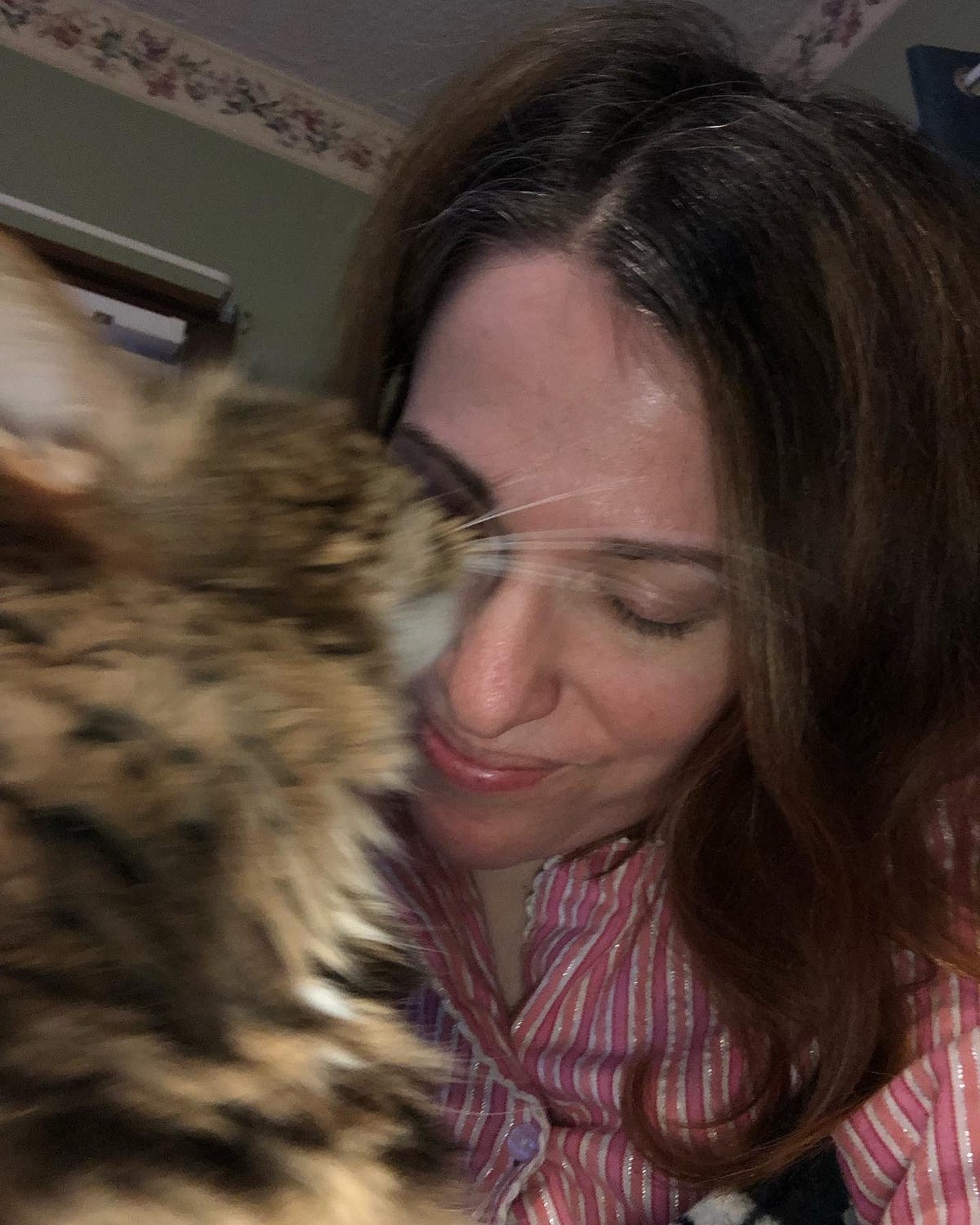 Welcome To Kerry’s Corner. A publication/blog about my random… | by ...