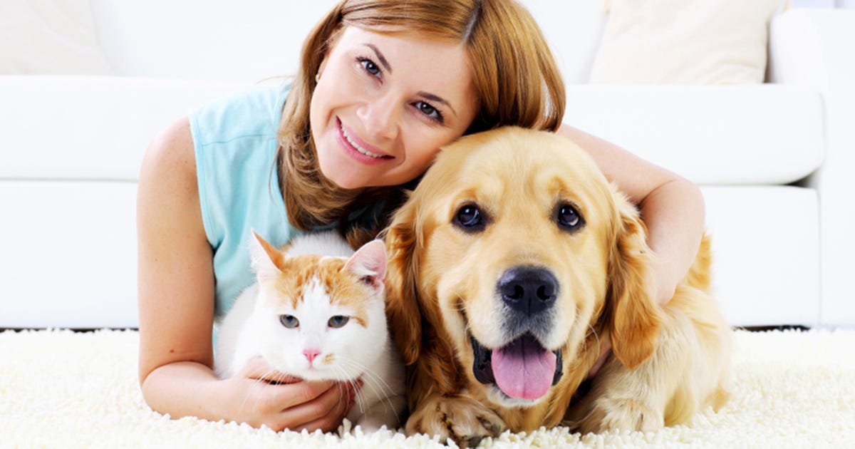 Exploring the benefits of pets. Pets offer numerous benefits to their ...