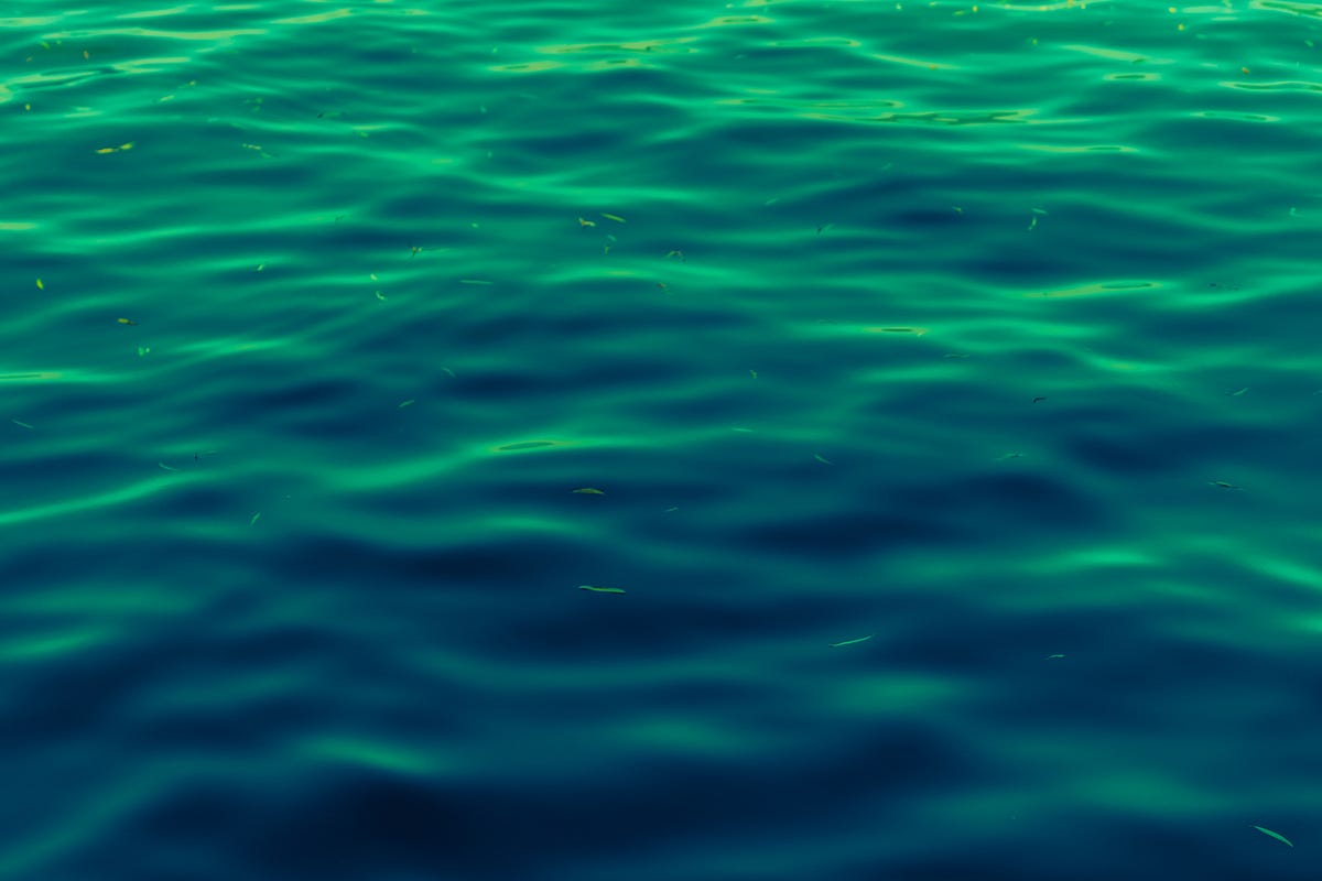 Rising Water. A poem. Only when you surrender, you float. | by Darren ...