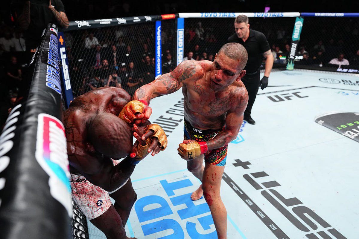 Pereira grinded Rountree: the upset of the year didn’t happen | by ...