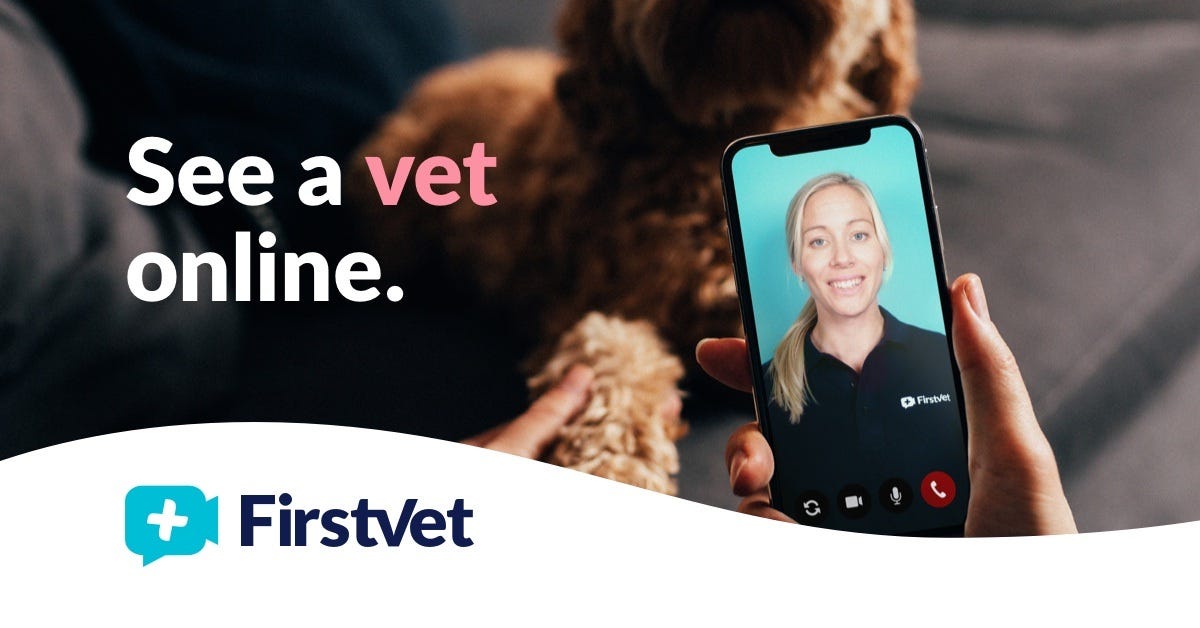 FirstVet raises €18.5M as it targets international expansion | by OMERS ...