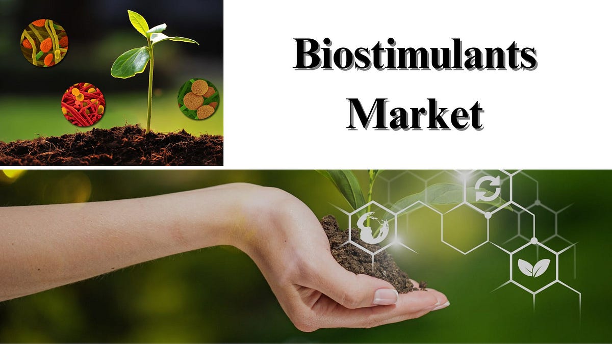 Biostimulants Market Size, Share, Growth and Report Forecast Through ...