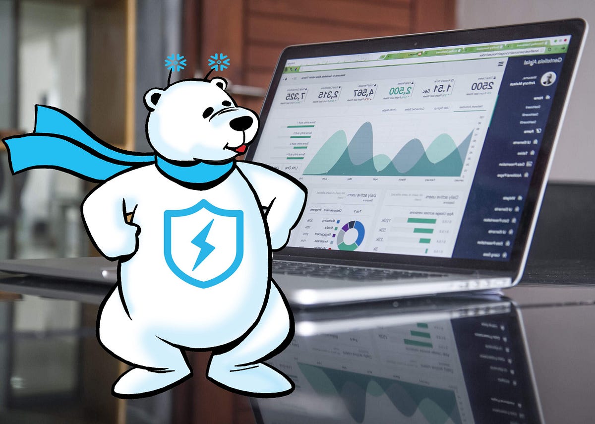 Using Snowflake Snowpark API for Utility Reporting and Visualization ...