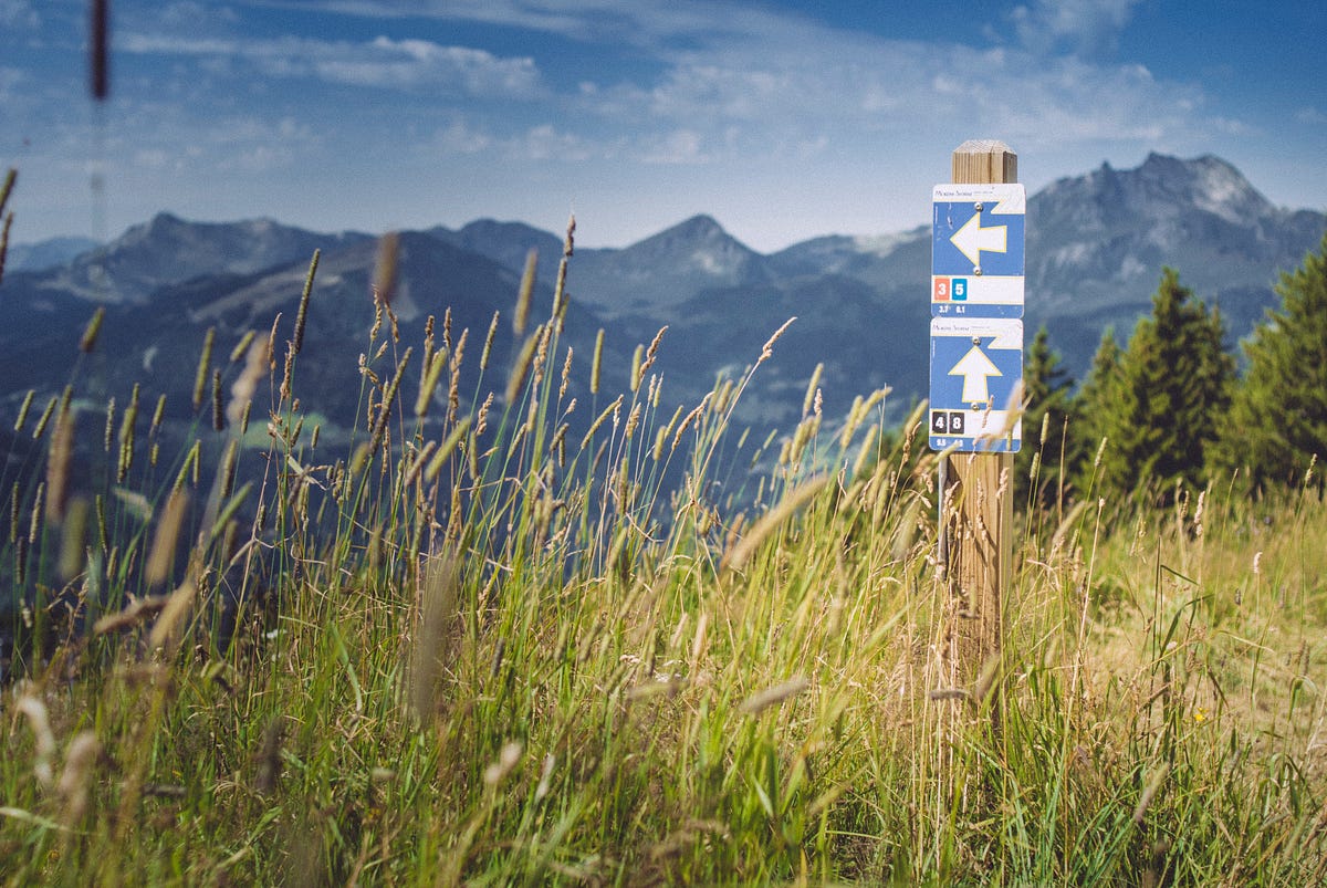 Cracking the Navigation Bar Secrets with SwiftUI | by Kristaps Grinbergs | Level Up Coding