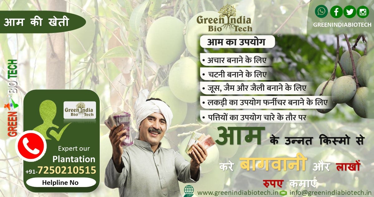 Top Plant Company in Patna, Ranchi & Kanpur | Plant Supplier in Patna ...