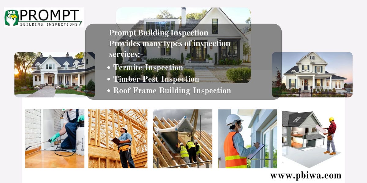 Timber Pest Inspection Perth — Prompt Building Inspection - Prompt ...