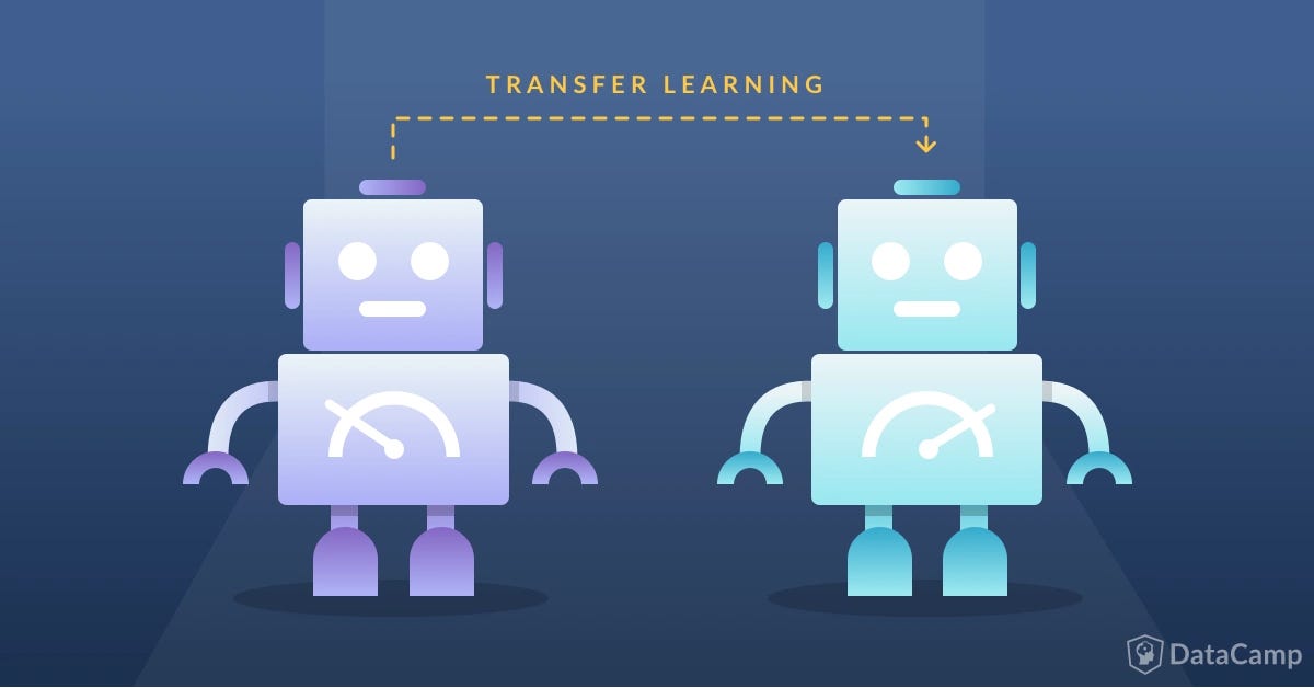 My Journey with Transfer Learning in Convolutional Neural Networks | by ...