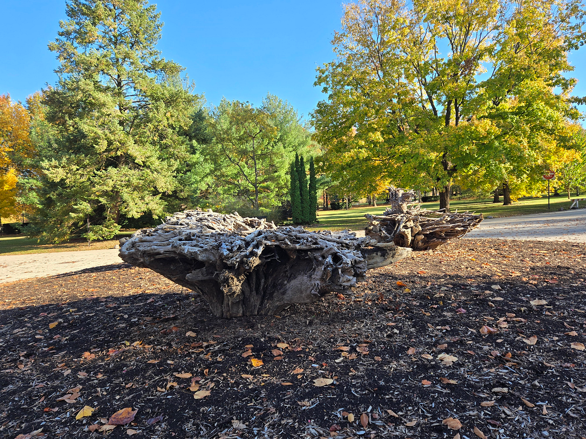 What an Innovative Way to Use Old Tree Stumps | by Joyce Nielsen | Six ...
