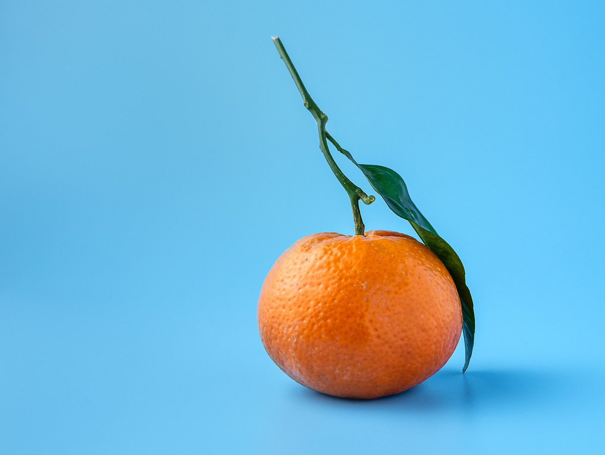 The Aim of Scikit-Learn 1.0. What are the new features and why are ...