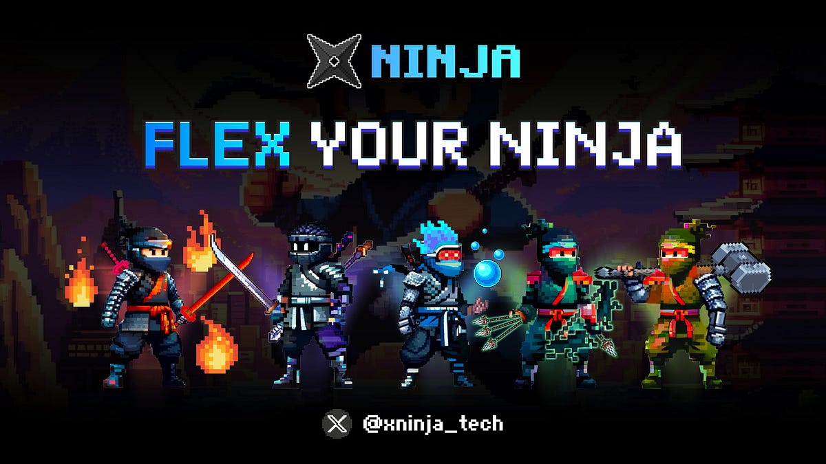 xNinja Overview. P2E, Ambassador Program and much more | by Olof ...