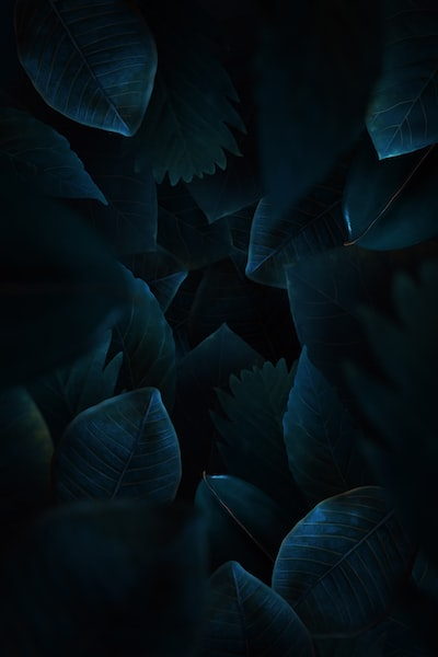 Does It Ever End?. Photo by Martin Martz on Unsplash | by Saba jamil ...