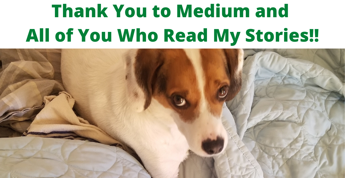 Thank You Medium — That Was Quite a Surprise | by Kay Valley ...